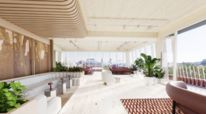 Xylo — The largest full timber structure in the UK